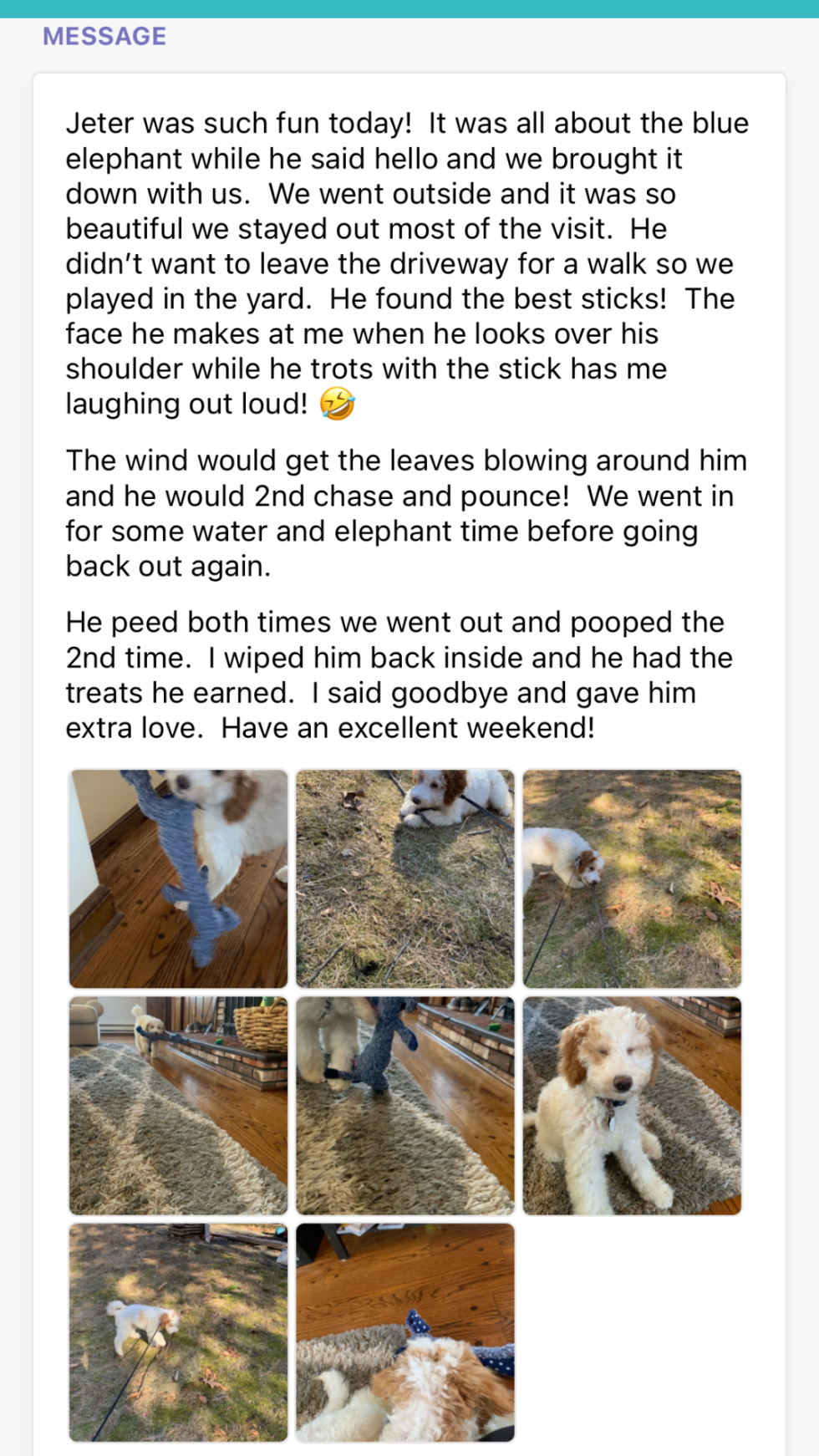 Instant Pet Care Journals | Best CT Dog Walkers, Dog Trainers and Pet ...