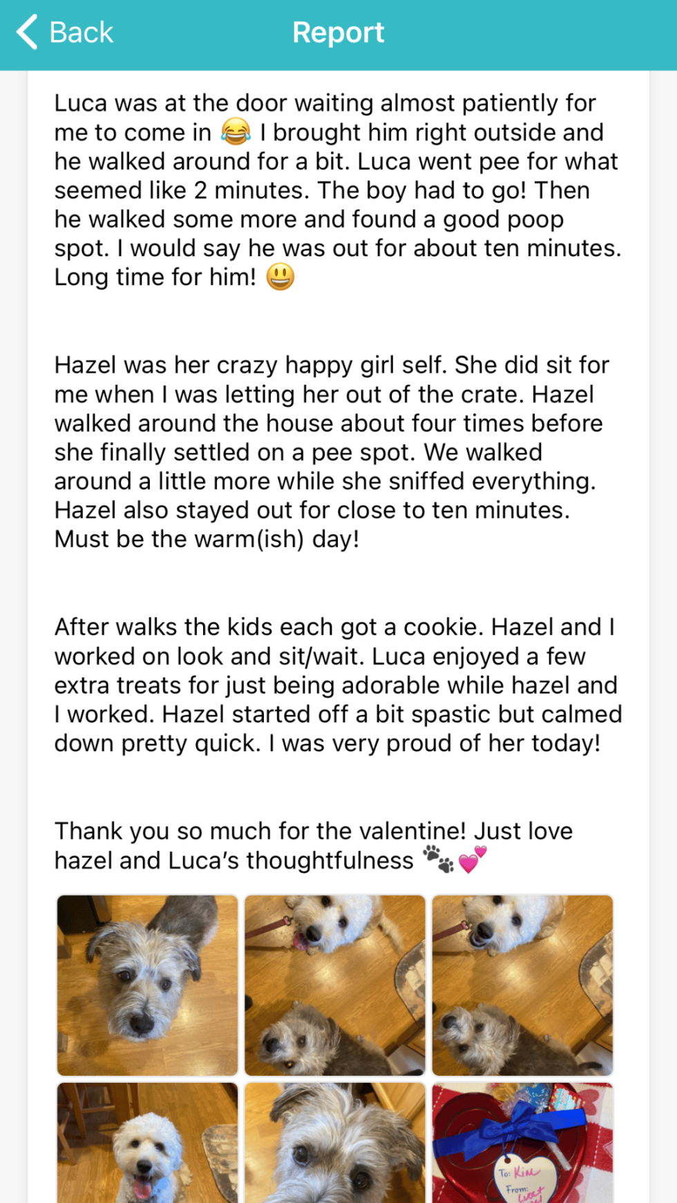 Instant Pet Care Journals | Best CT Dog Walkers, Dog Trainers and Pet ...